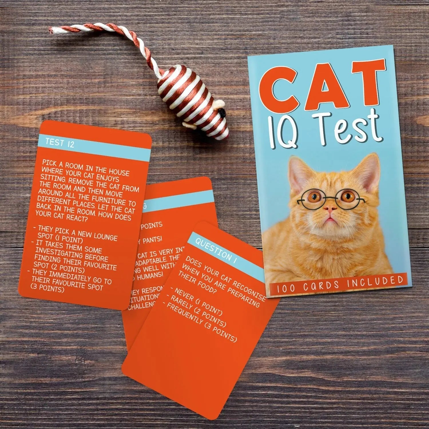 REDUCED - Cat IQ Test Fun With Your Cat - Illawarra Cat Rescue Support ...